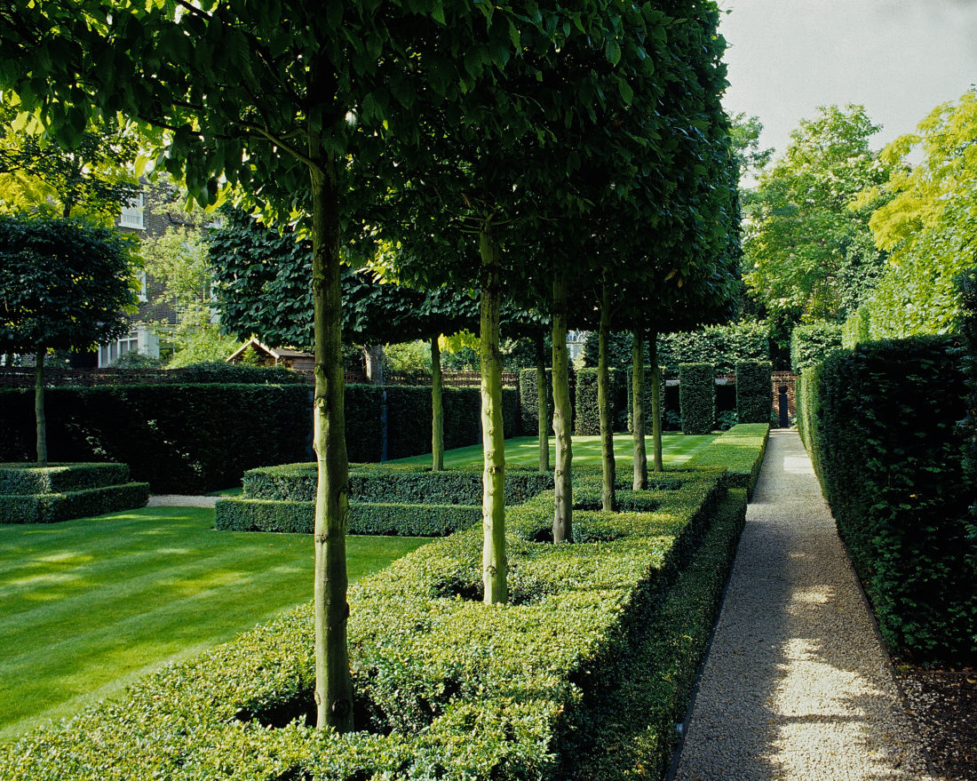 How to Design Your Garden Like a Pro – Frederic Magazine